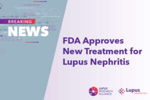 Gazyva® Shows Positive Results in Phase 3 Lupus Nephritis Trial - Lupus ...